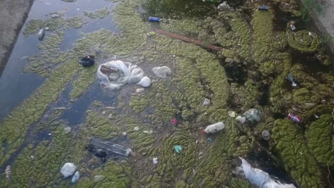 Garbage Water Pollution, Waste, Garbage ... | Stock Video | Pond5