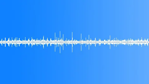 Garden birds and insects, spring, singing birds ~ Sound Effect #195010644