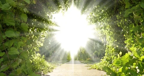 Eden Stock Video Footage | Royalty Free Eden Videos | Pond5