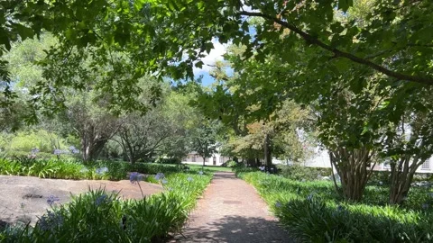 Garden path by shaded trees green lawns ... | Stock Video | Pond5