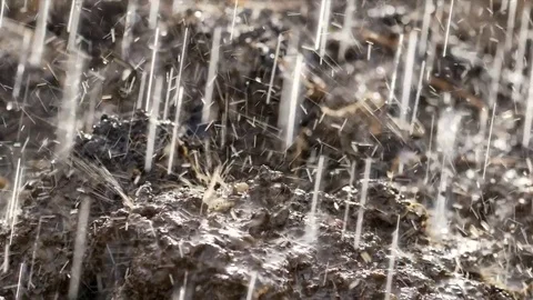 Garden soil in heavy rain | Stock Video | Pond5