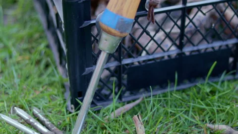 Garden tool rake chopper for gardening o... | Stock Video | Pond5
