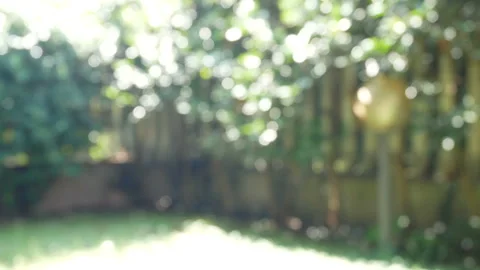 Garden for use as green screen backgroun... | Stock Video | Pond5