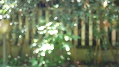 Top 10 professional Interview background green screen ideas for your videos