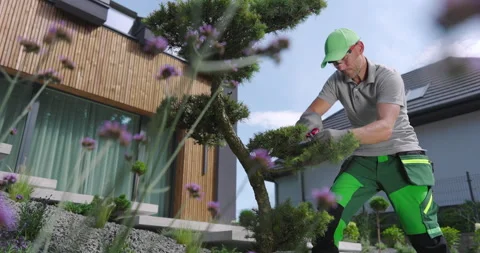 Eco Tree Trimming Stock Videos – Royalty-Free HD & 4K Videos