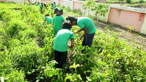 gardening in the school campus student d... | Stock Video | Pond5