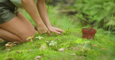 Make A Tool Stock Videos – Royalty-Free HD & 4K Videos | Pond5