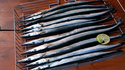 Garfish. Female hands cooking fish. Fish... | Stock Video | Pond5