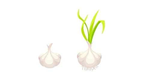Sprite Sheet Animation Stock Videos – Royalty-Free HD & 4K Videos | Pond5