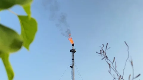 Gas flare is burning natural gas from oi... | Stock Video | Pond5