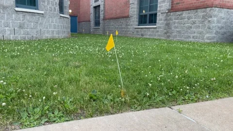 Gas Utility Line Marking Flags | Stock Video | Pond5