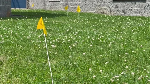 Gas Utility Line Marking Flags | Stock Video | Pond5