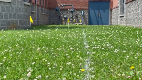 Gas Utility Line Marking Flags | Stock Video | Pond5