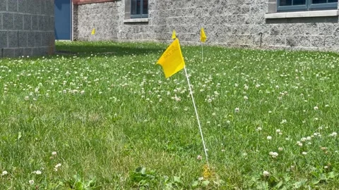 Gas Utility Line Marking Flags | Stock Video | Pond5