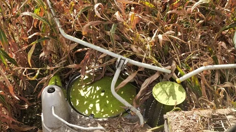 Gear wheels cut corn mill. View from coc... | Stock Video | Pond5