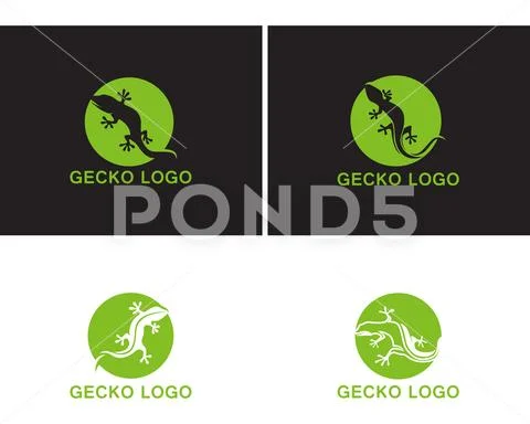 Gecko green logo vector symbol Stock Illustration #97648816