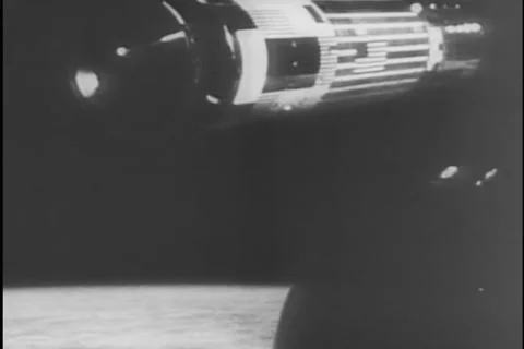 Dicks In Flight Stock Videos – Royalty-Free HD & 4K Videos