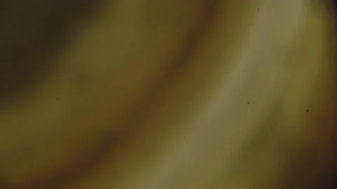 Gemstone Agate Under Microscope 4K Super... | Stock Video | Pond5