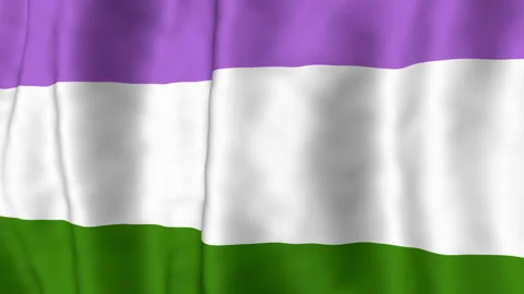 Gender queer flag at an angle looping an... | Stock Video | Pond5