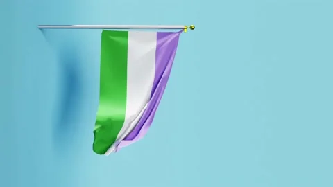The genderqueer pride flag slow motion w... | Stock Video | Pond5