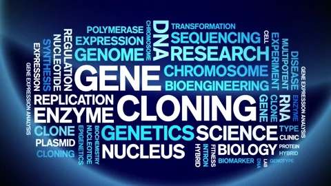 Seamless Cloning Stock Videos – Royalty-Free HD & 4K Videos