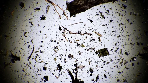 The General plan of the movement of roti... | Stock Video | Pond5