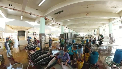 General Santos City Fish Port Complex. P... | Stock Video | Pond5