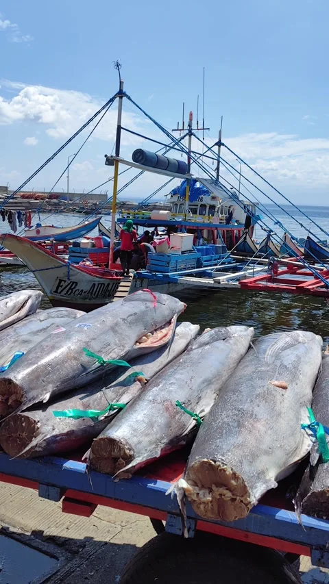 General Santos City Fish Port Complex. P... | Stock Video | Pond5