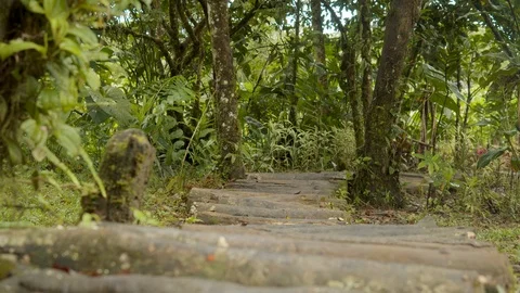 general shot of indigenous people runnin... | Stock Video | Pond5