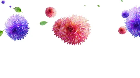 generated animation of flowers and leave... | Stock Video | Pond5