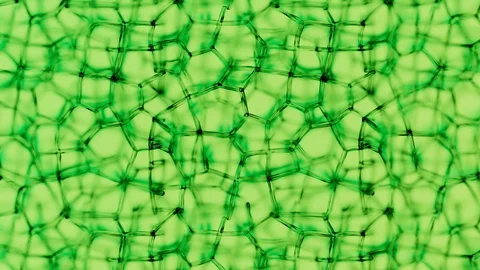 Generic green plant cells under a micros... | Stock Video | Pond5