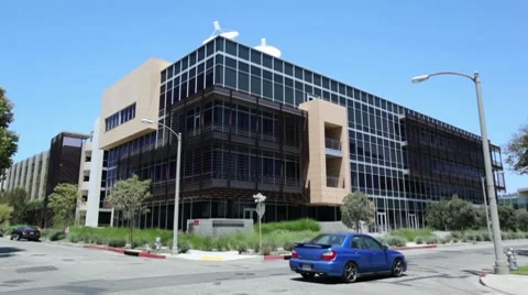 Office I Day Stock Videos – Royalty-Free HD & 4K Videos