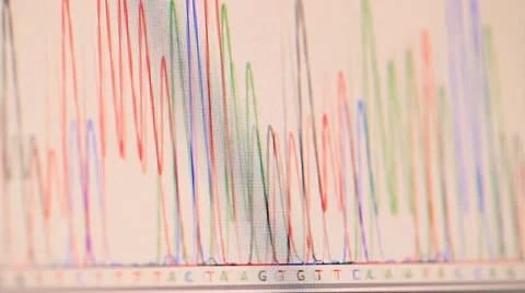 genetic chromatogram on a computer scree... | Stock Video | Pond5