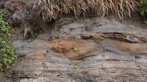 Geology - Load Structures / Load Casts | Stock Video | Pond5