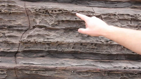 Geology - Sedimentary structures - Biotu... | Stock Video | Pond5
