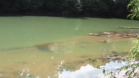 Georgia, Medlock Bridge, Pan across the ... | Stock Video | Pond5