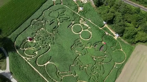 German maze builder celebrates 100 years... | Stock Video | Pond5