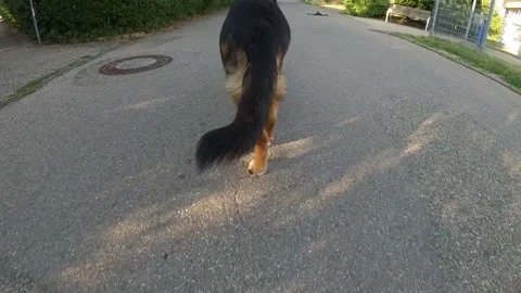 German Camera Stock Videos – Royalty-Free HD & 4K Videos | Page 4