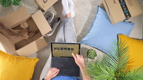 German Cat Video Stock Videos – Royalty-Free HD & 4K Videos