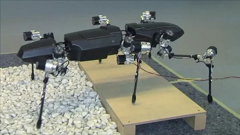 Robotic Insect Stock Video Footage | Royalty Free Robotic Insect Videos ...