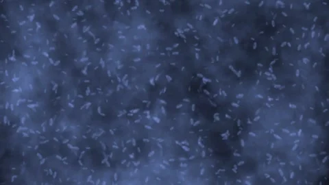 Germs Bacteria Cell Animated Microscope ... | Stock Video | Pond5