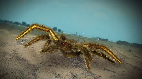 It Movie Spider Stock Videos – Royalty-Free HD & 4K Videos | Pond5