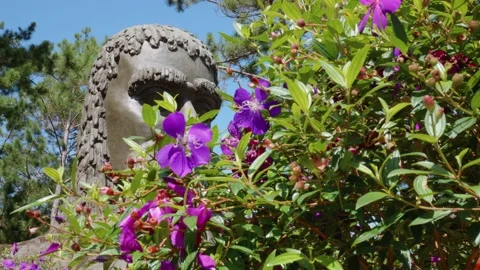 Giant Head Figure Of French Scientist Al... | Stock Video | Pond5