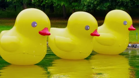 Inflatable Duck Stock Videos – Royalty-Free HD & 4K Videos | Page 5