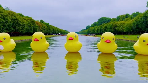Inflatable Duck Stock Videos – Royalty-Free HD & 4K Videos | Page 5