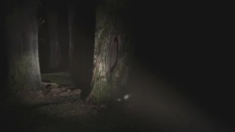 A giant monster eye staring from a tree ... | Stock Video | Pond5