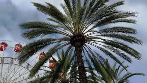 Spectrum Center Stock Videos – Royalty-Free HD & 4K Videos | Pond5