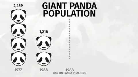 Rise Rise Graphic Stock Footage ~ Royalty Free Stock Videos | Pond5