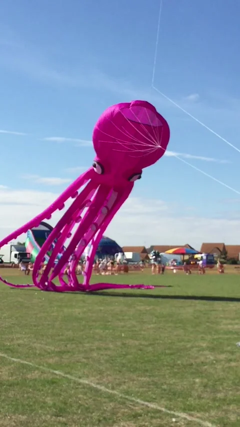 Octopus Kite Stock Video Footage | Royalty Free Octopus Kite Videos | Pond5