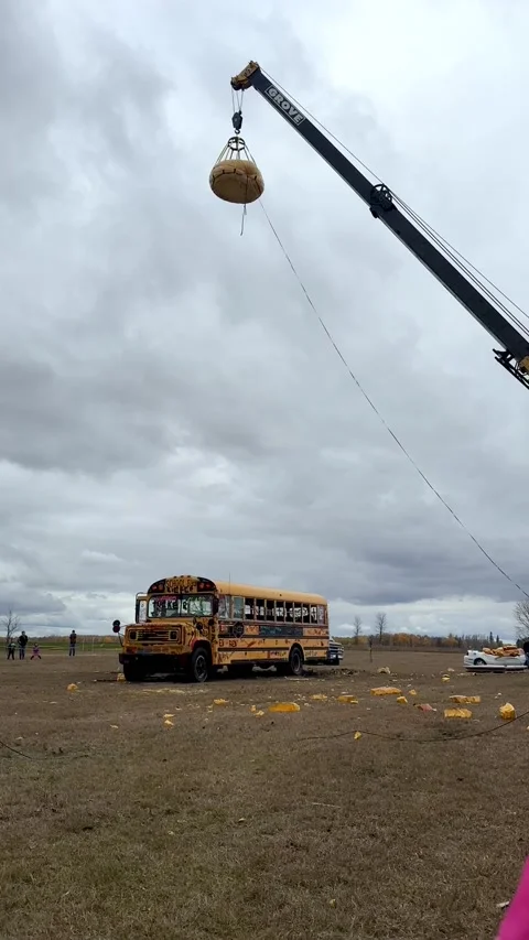 Bus Bus Minnesota Stock Footage ~ Royalty Free Stock Videos | Pond5